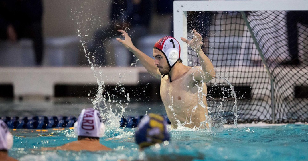 Harvard University Senior Perspective: Goalie Anthony Ridgley ...