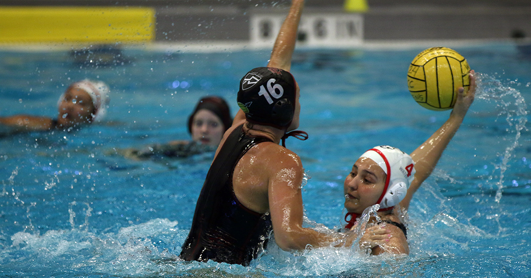 No. 16 Florida State University Fells No. 20 Northeastern University ...